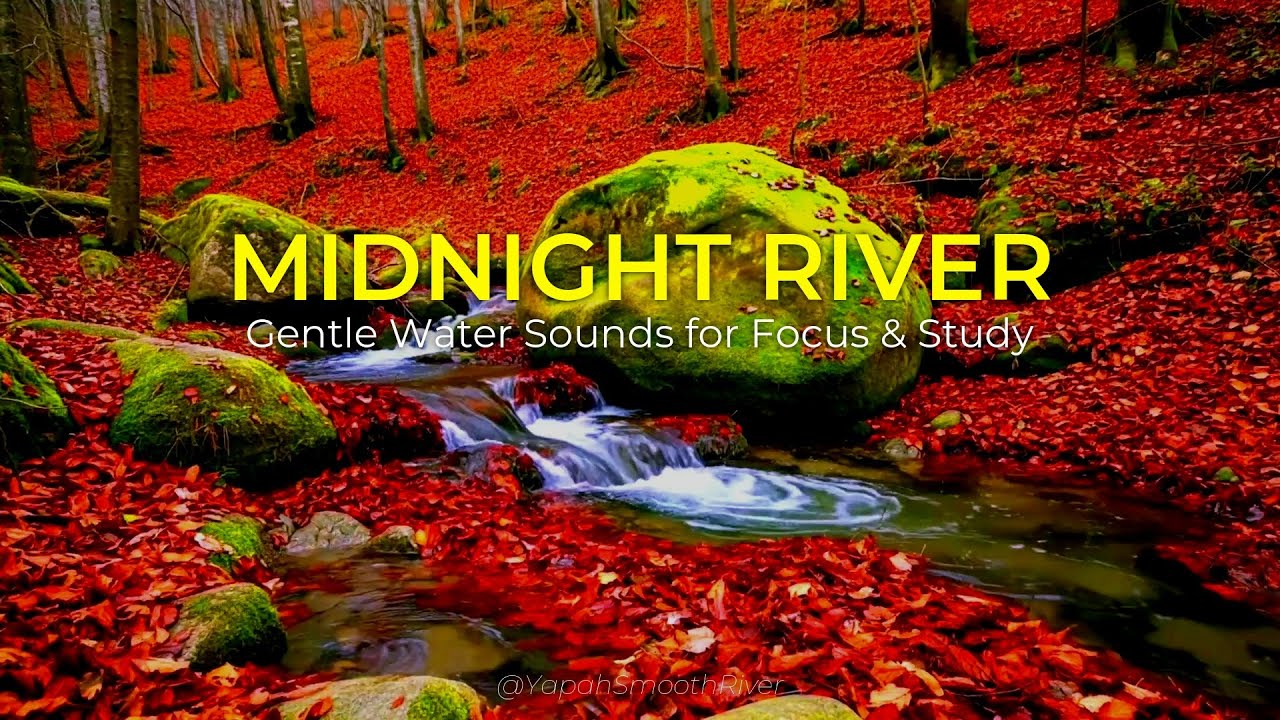 MIDNIGHT RIVER - Gentle Water Sounds for Focus & Study - YouTube
