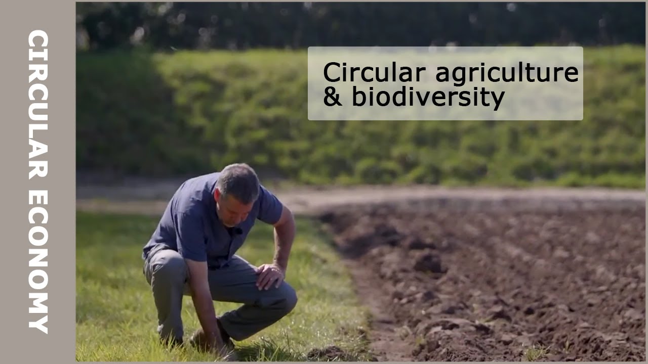 How does circular agriculture contribute to biodiversity? - YouTube