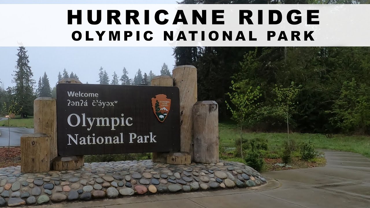 Hurricane Ridge | Olympic National Park | April 2024 - YouTube