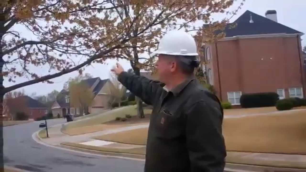 Red Maple Pruning - YouTube