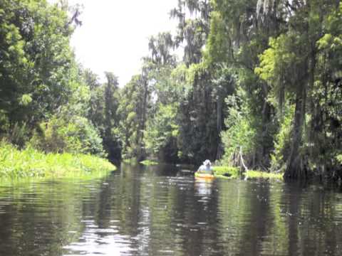 Kayaking On The Upper Peace River Florida - YouTube
