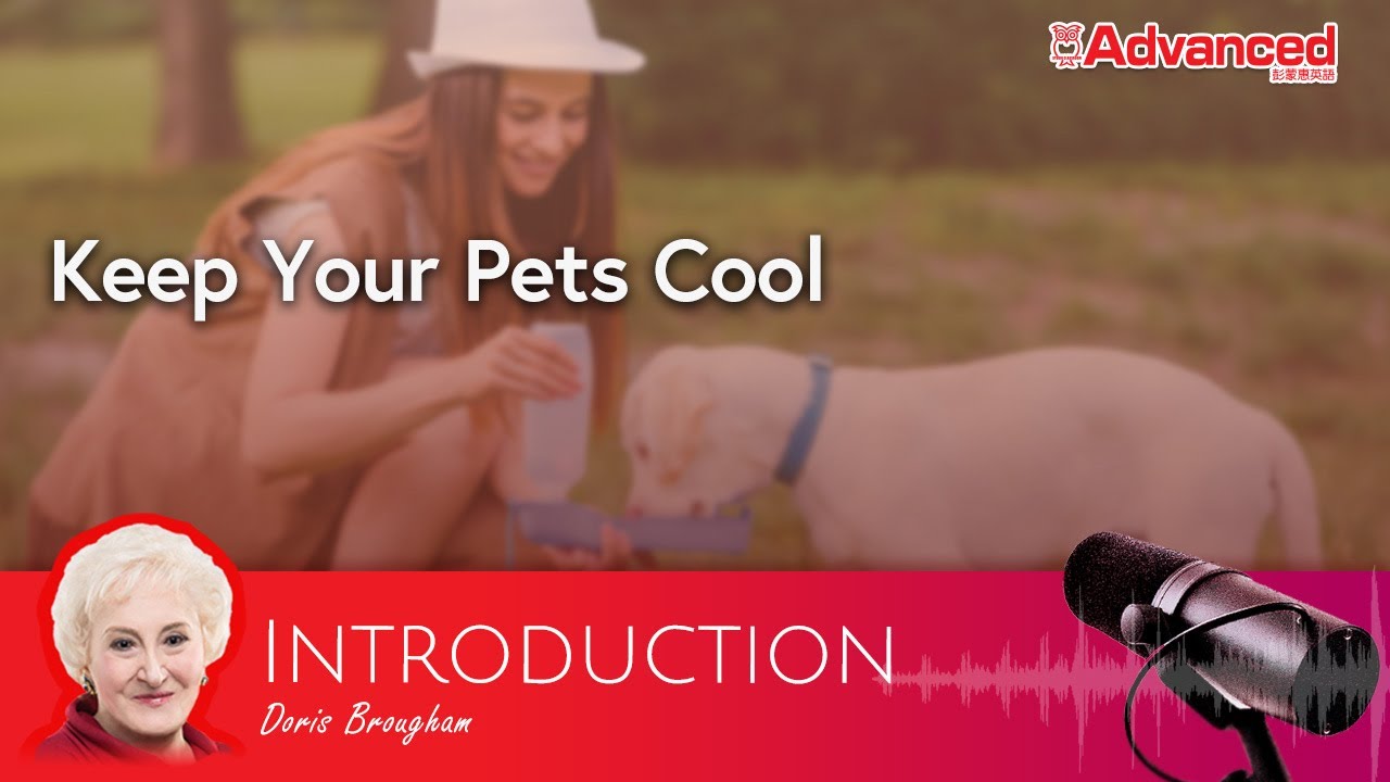 別讓寵物熱過頭 Keep Your Pets Cool - YouTube