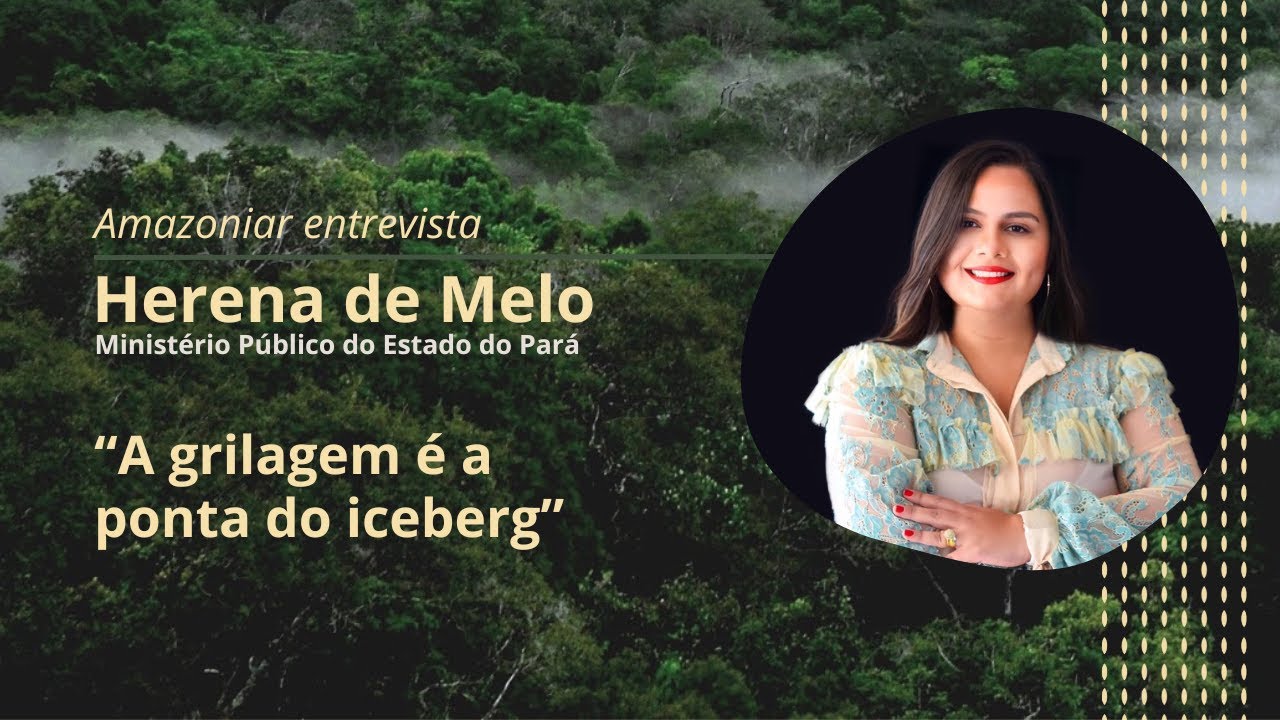 Amazoniar | É preciso combater a grilagem para uma economia verde pt.1 - YouTube