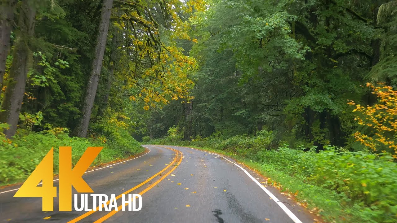 4K Fall Scenic Drive through Autumn Forest with Music - Autumn Road ...