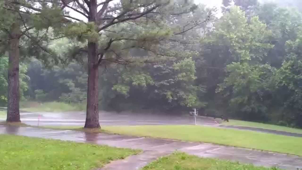 Rainy day.. our front yard - YouTube
