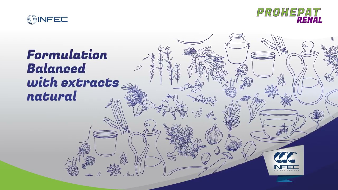 RENAL PROHEPAT(Protective, liver and kidney) - YouTube