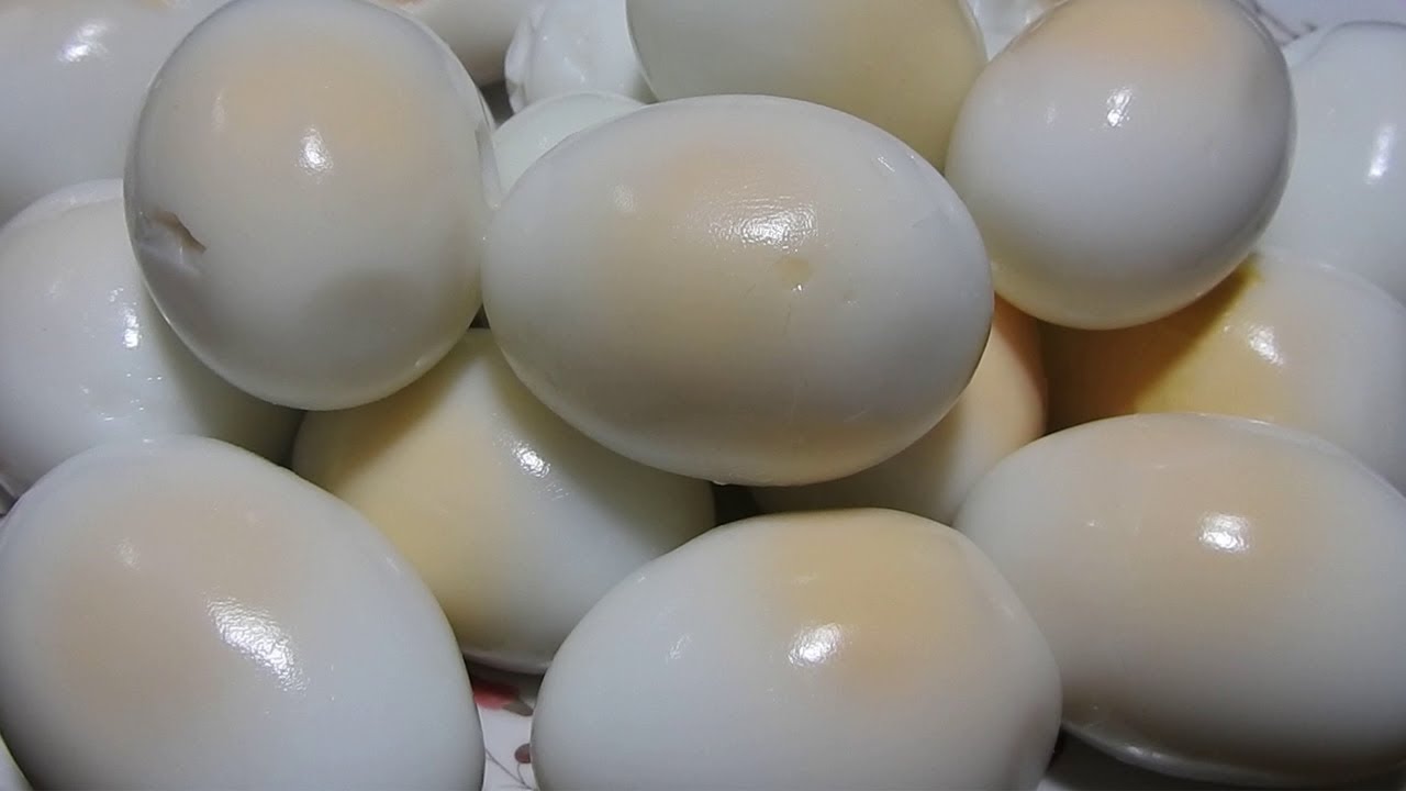 ASMR Twelve Eggs - YouTube