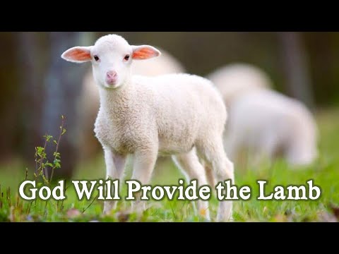 "God Will Provide the Lamb" - Pastor Tim Irwin - January 8, 2023 - YouTube