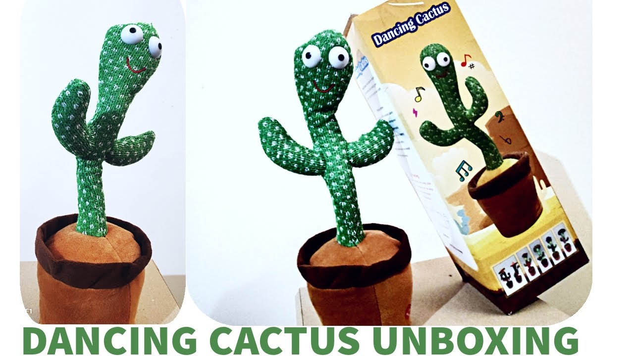 Dancing Cactus Unboxing | Play With Toys - YouTube