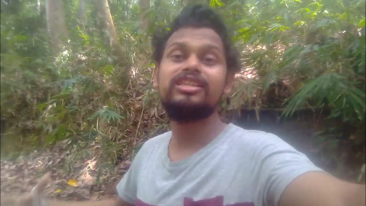What Is Awareness In Simple Meaning Sinhala YouTube what-is-awareness-in-simple-meaning-sinhala-youtube