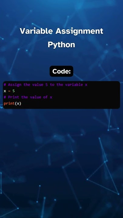 Variable Assignment in Python #python #coder #coding #tutorial #programming #variables - YouTube