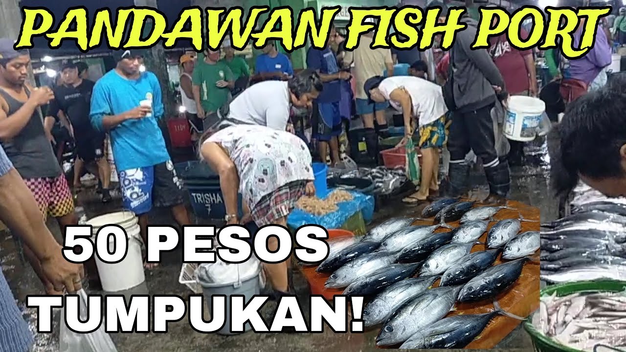 Murang Tumpukan sa Pandawan FISH PORT| 50 PESOS may Pang ulam kana ...