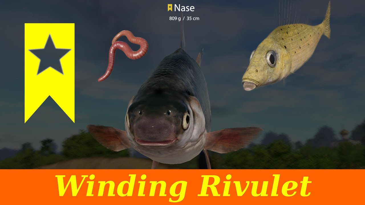 Winding Rivulet | Donets Ruffe & Trophy Nase | Russian Fishing 4 rf4 ...