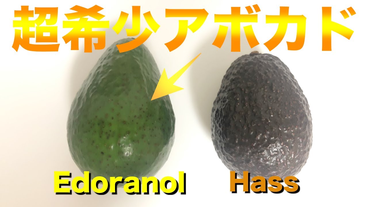 【アボカド品種】超希少アボカド「エドラノール(Edranol)」を堪能した！2500円でした．[Avocado] Ultra-rare ...