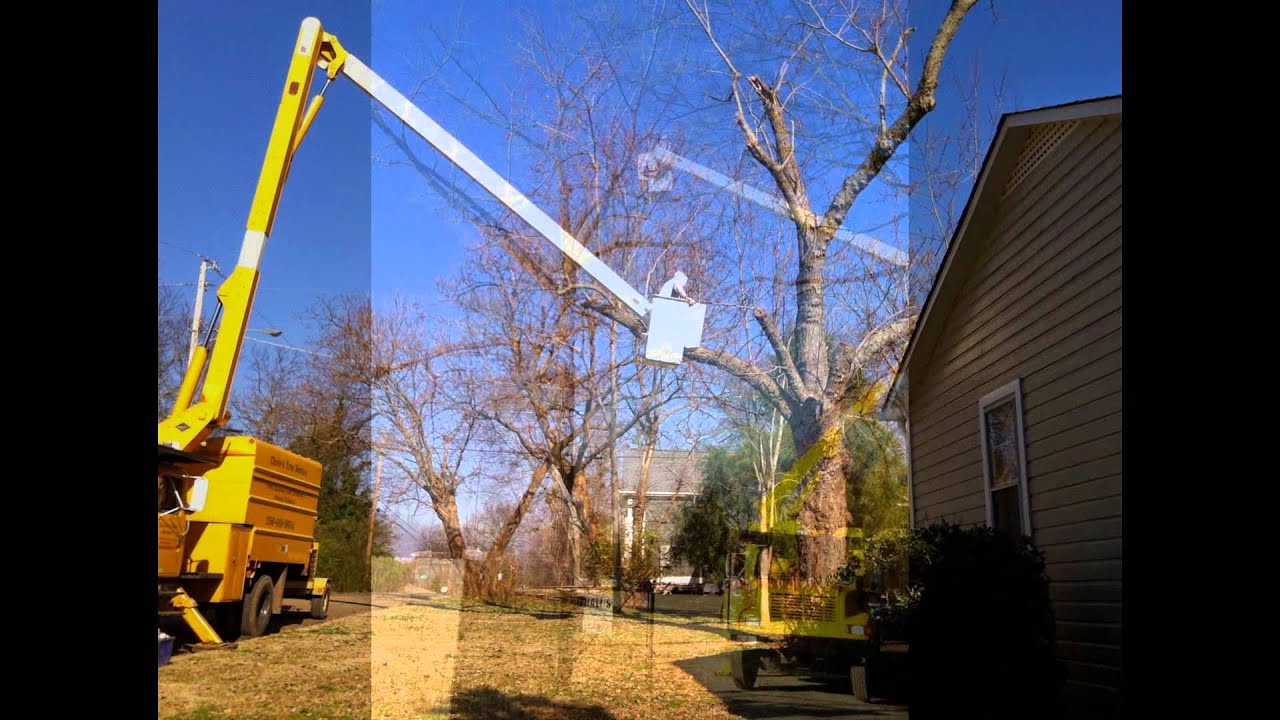 Chris's Tree Service in Huntsville,Al - YouTube