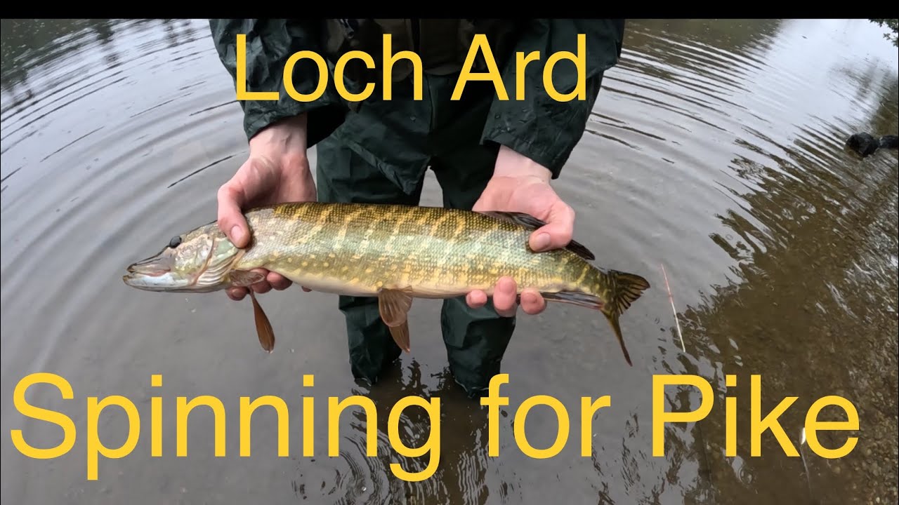 Pike Fishing in a New Location ( Loch Ard ) - YouTube
