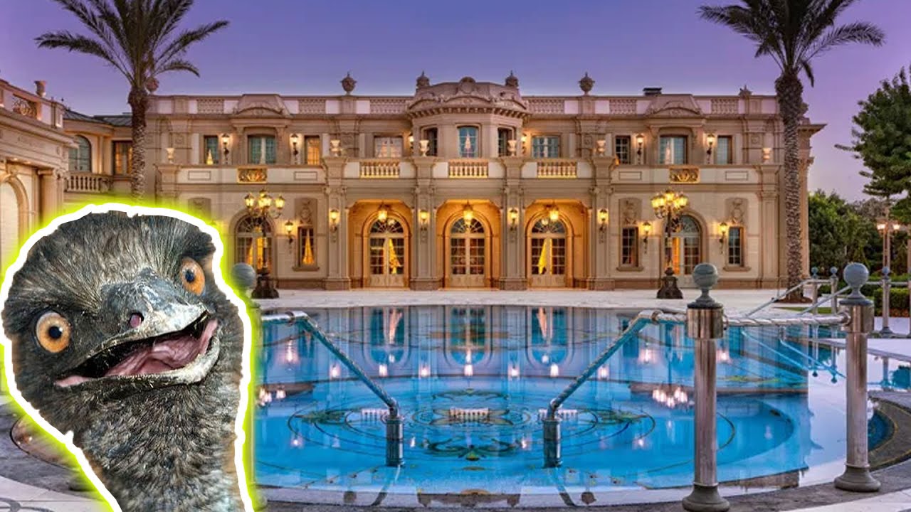 The Build Begins! Emu House COMING RIGHT UP! - YouTube