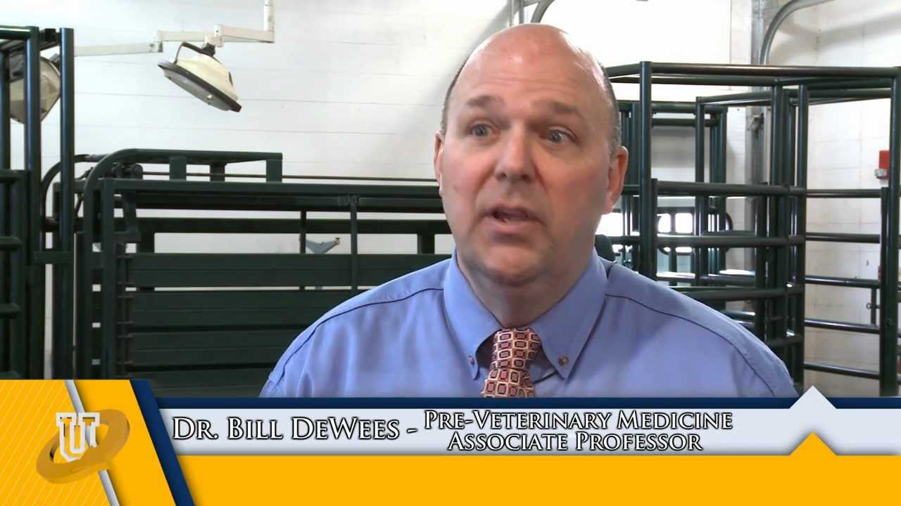 Dr. Bill DeWees Pre-Vet Medicine MSU - YouTube