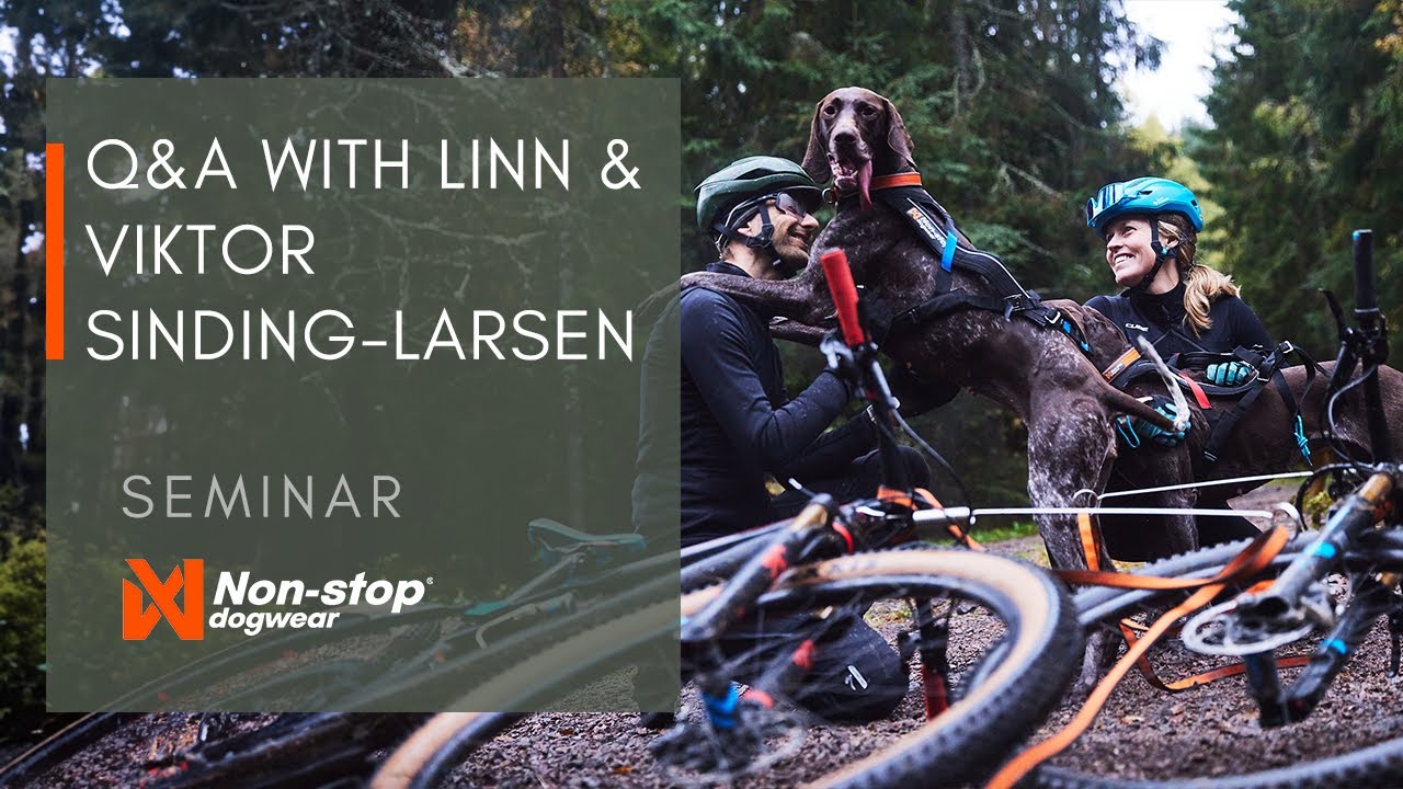 Q&A about bikejoring with Linn Beate & Viktor Sinding-Larsen - YouTube