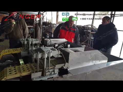 Dates Seed Removing Machine|Automatic Dates Pitting Machine for Hot Sale