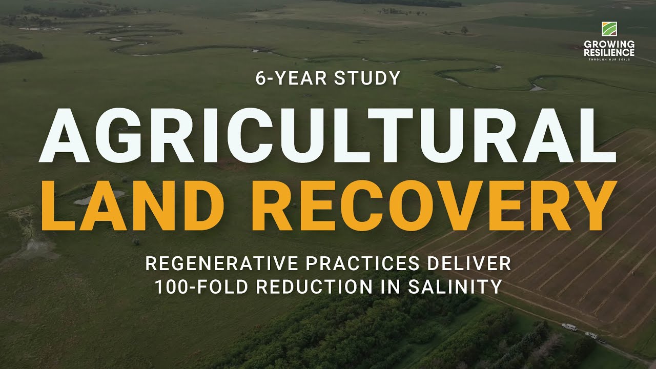 Agricultural Land Recovery: Regenerative Practices Deliver 100-Fold ...