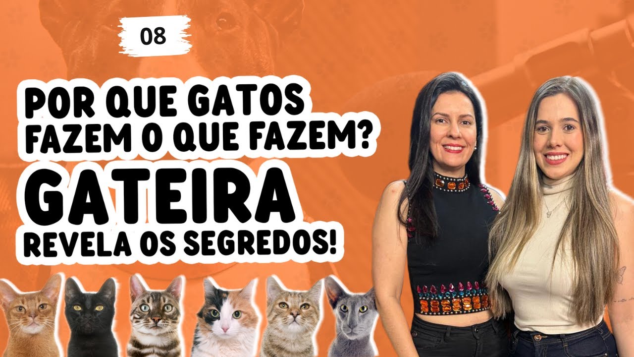 Por que gatos fazem o que fazem? GATEIRA Maria Luiza REVELA OS SEGREDOS ...