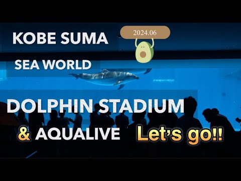 KOBE SUMA SEA WORLD【DOLPHIN STADIUM&AQUALIVE】2024 - YouTube