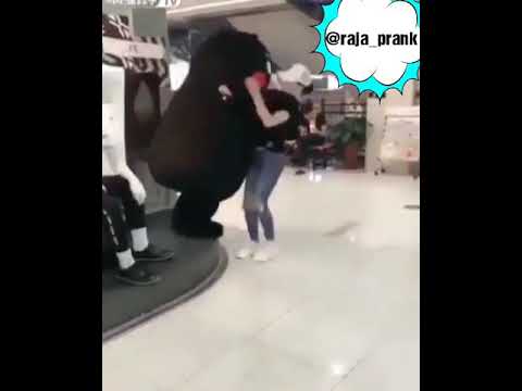 18+++ Video Dewasa Prank Video, Funny Bunny Bear