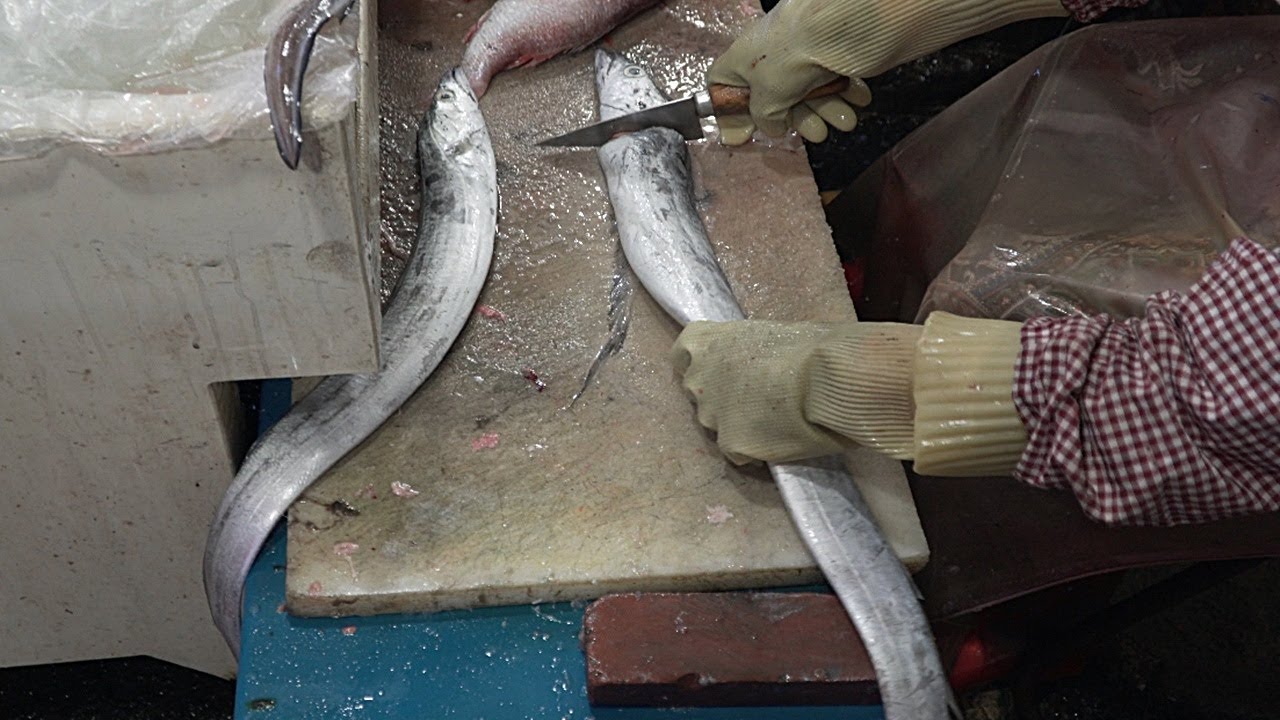 Cutting Giant Silver Hairtail/Cutlassfish by Korean Grandma - Korean ...