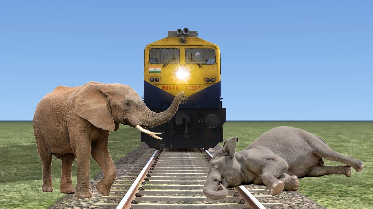 SLEEPING Elephant on rail track Second Elephant Try to escapes - train ...