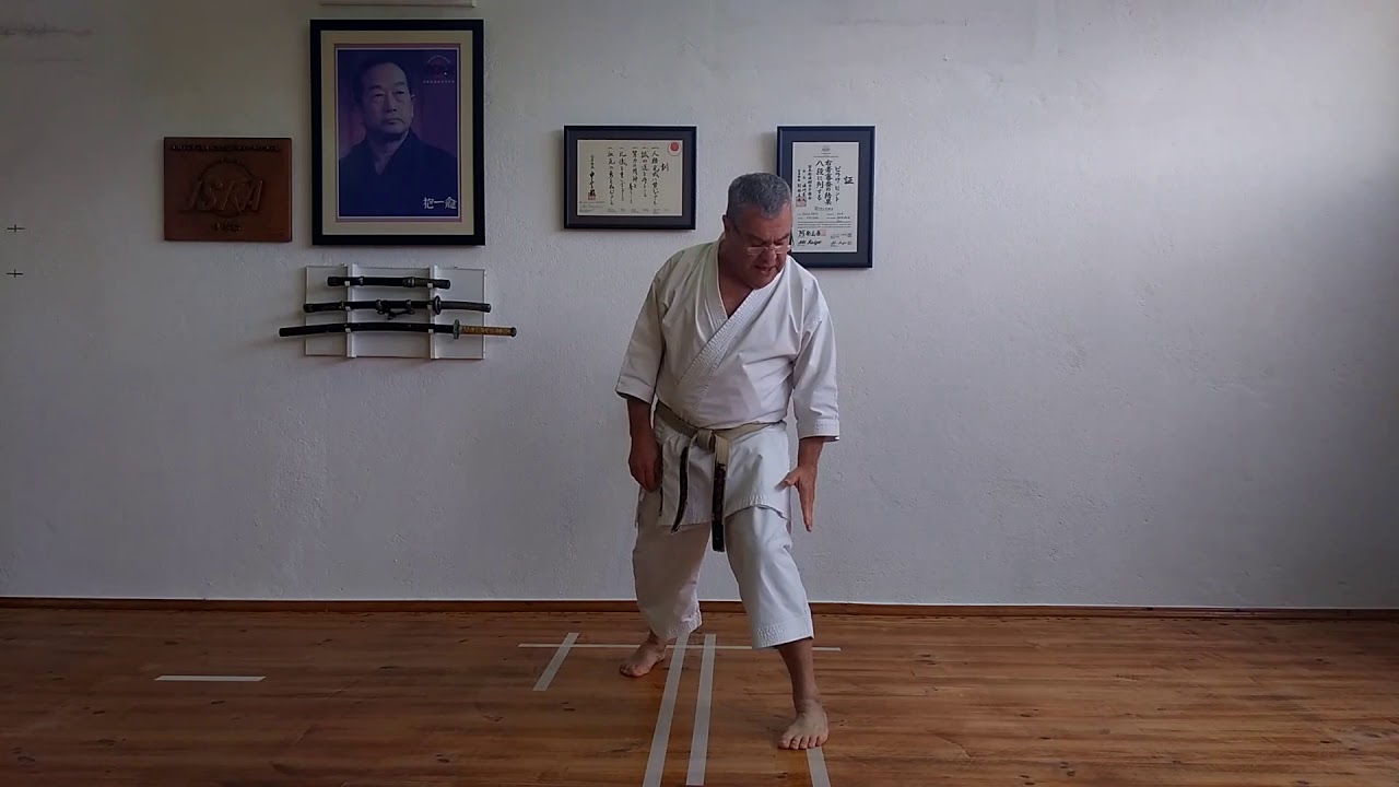 KARATE HOITSUGAN POSIÇÕES BASE - YouTube