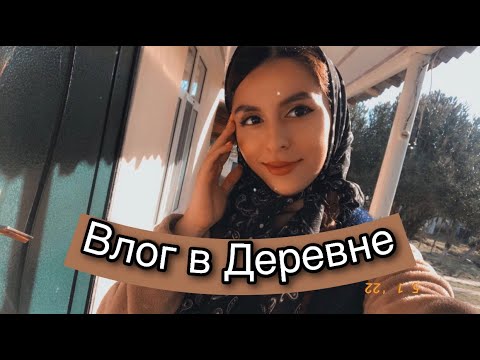 Ağdaş Rayonu Qoşaqovaq Kəndi | Vlog In The Village 2022