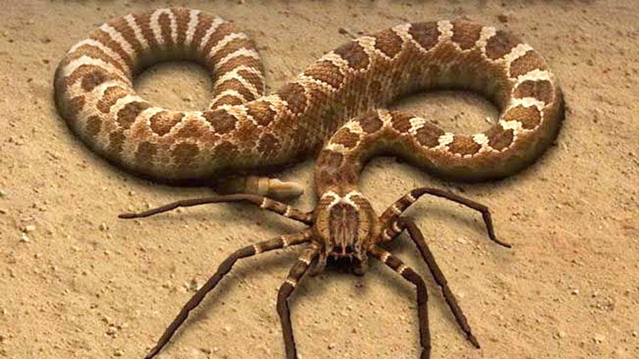 5 ANIMAIS ASSUSTADORES DO MUNDO - YouTube