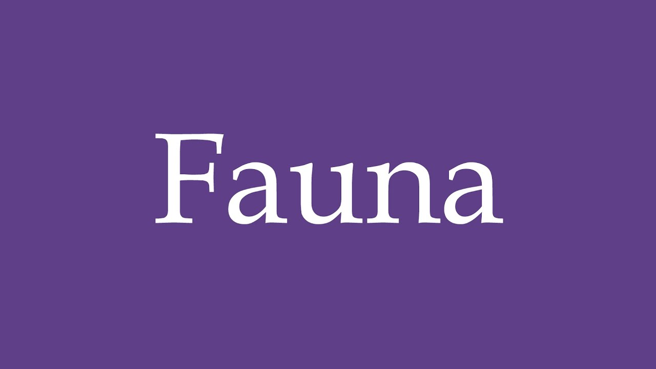 Como Pronunciar ''Fauna'' Correctamente en Español - YouTube