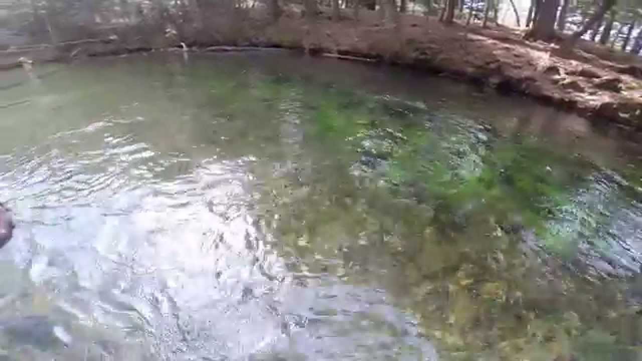 Fly fishing the Swift river ''Hatchery pool'' - YouTube