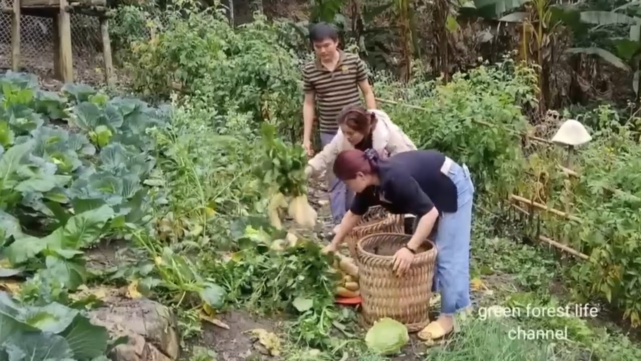 Full video part 7. Gardening and welcoming girls to buy vegetables ...