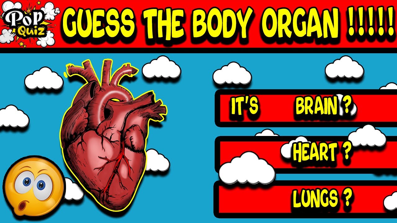 Can You Identify These HUMAN Body Organs from Images? Test Your Health ...