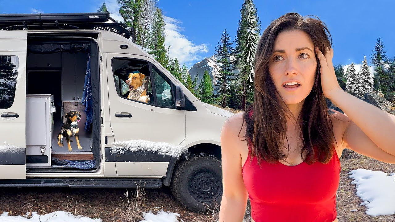 This is Tougher Than I Expected | Winter Van Life with Two Rescue Dogs ...