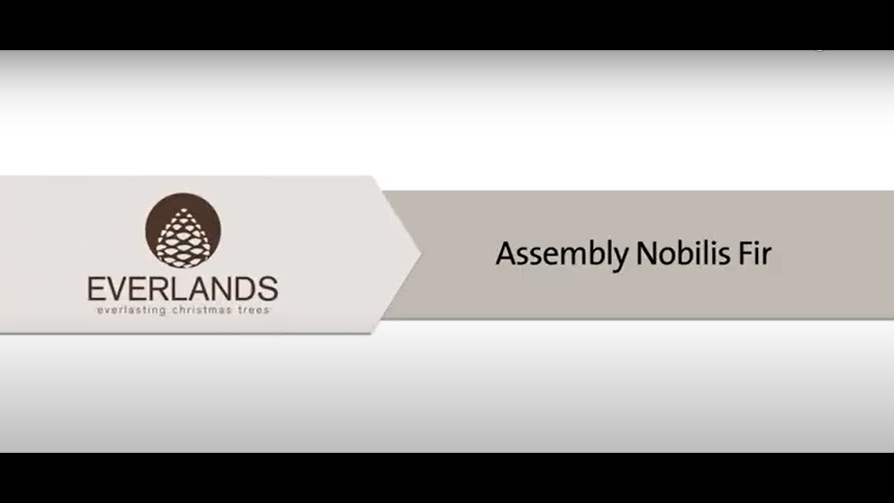 Everlands | How to assemble the Nobilis Fir - YouTube