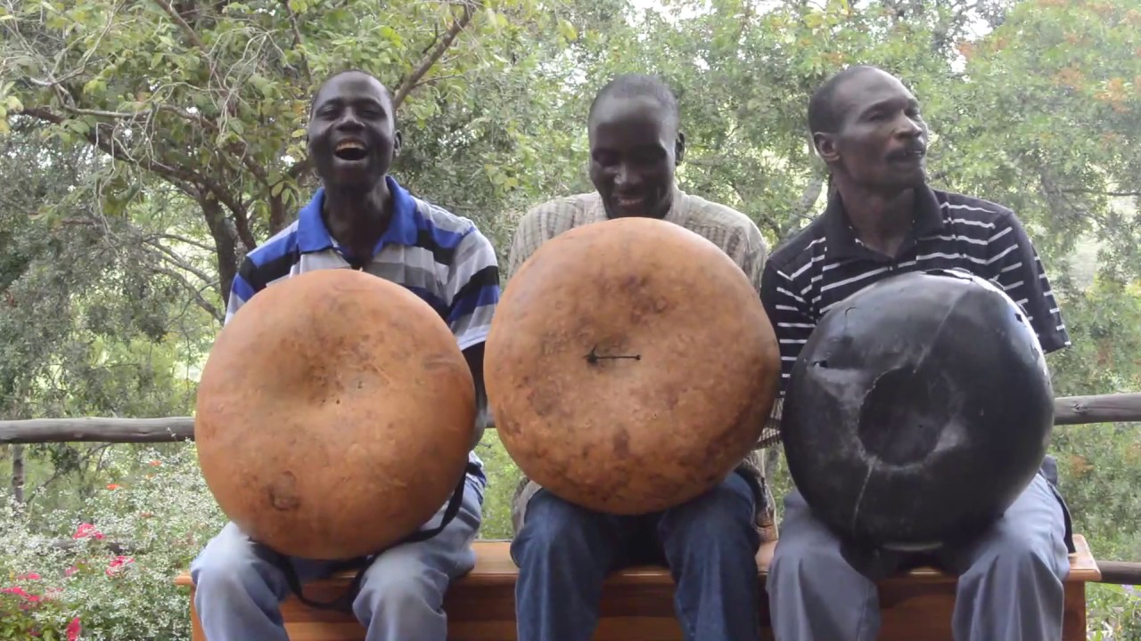 Dzapasi Mbira Group plays Bhuka Tiende 2016 - YouTube