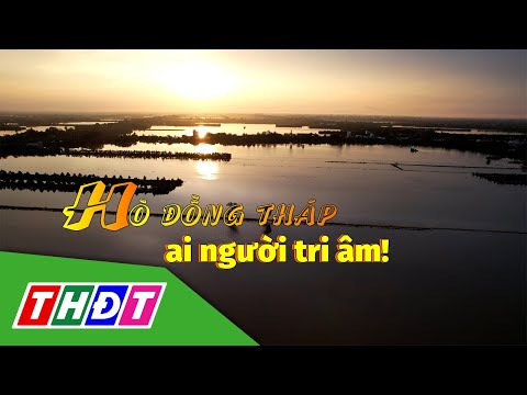 Phim tài liệu Hò Đồng Tháp - Ai người tri âm! | THDT