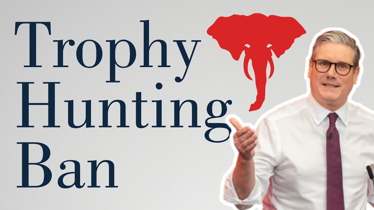 Why BANNING Trophy Hunting Could Devastate African Wildlife - YouTube