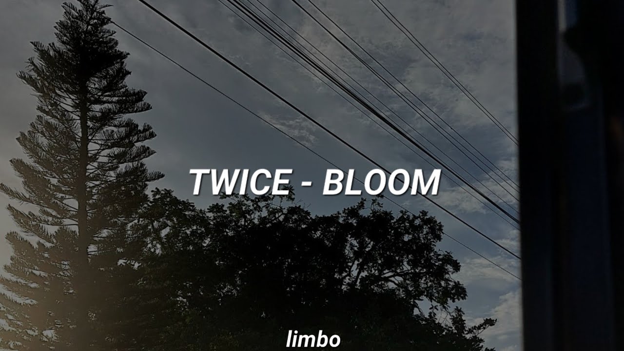 TWICE BLOOM Easy Lyrics - YouTube