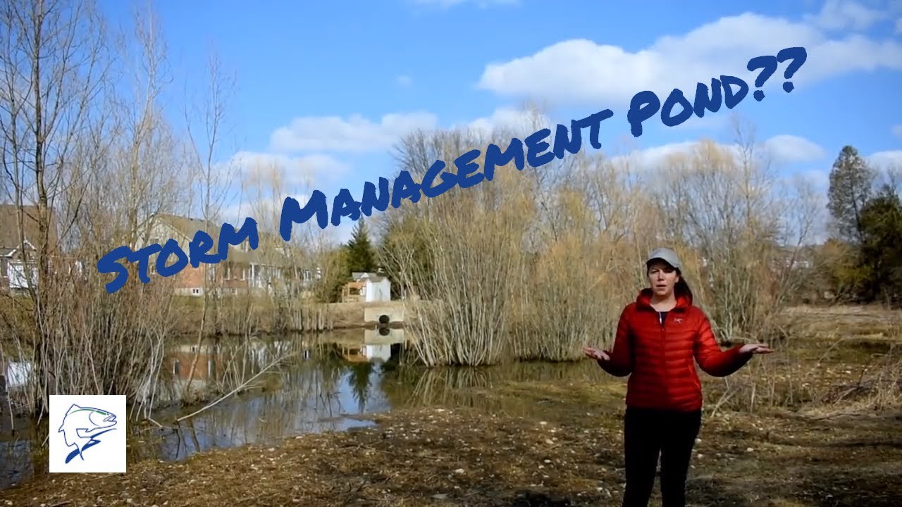 So What is a Storm Water Management Pond? - YouTube
