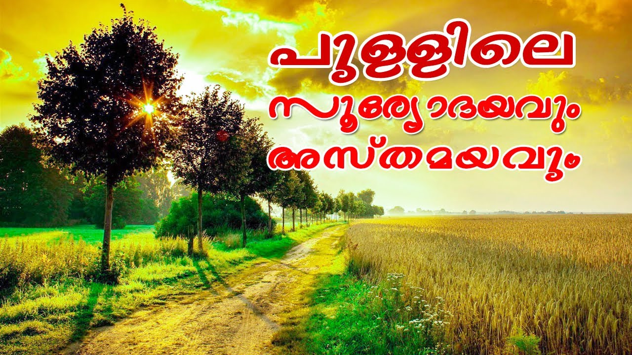 pullu padam Thrissur | സൂര്യോദയവും അസ്തമയവും | മനം മയക്കി 'പുള്ള് ...