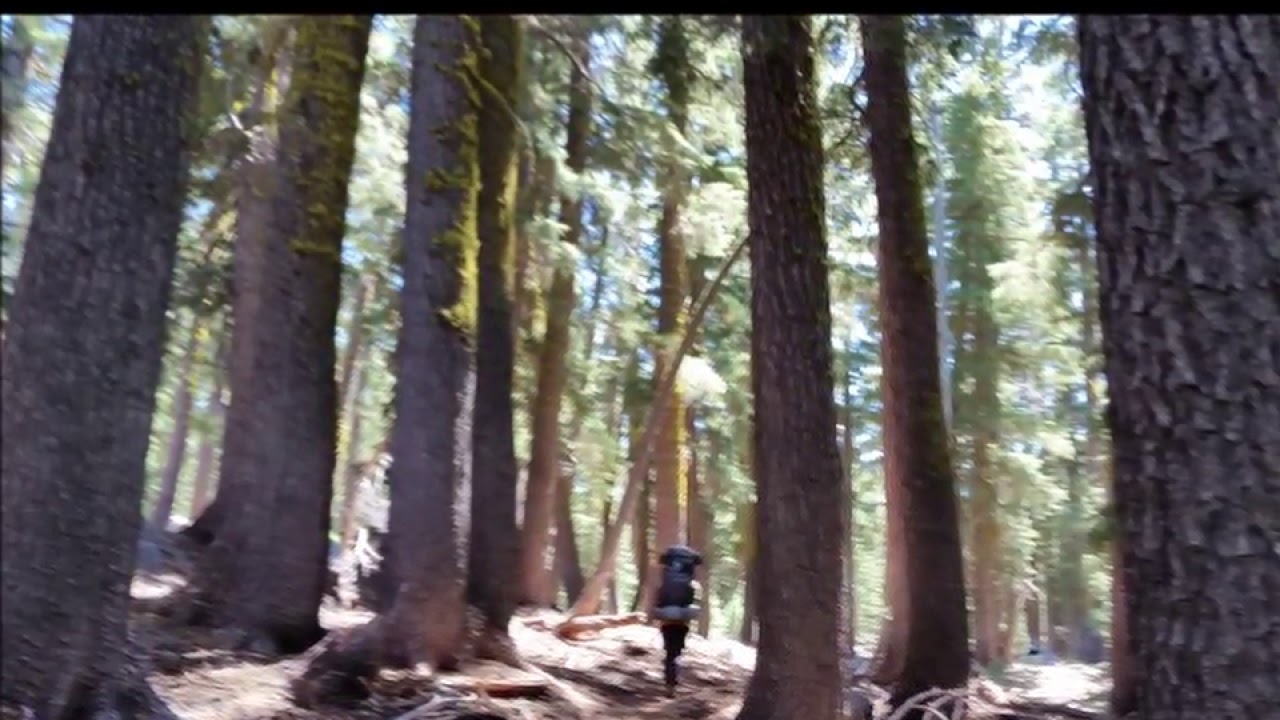 Tahoe Rim Trail #3 Echo Lake to Barker Pass 8월14~17일 14년 # 1 백패킹. - YouTube