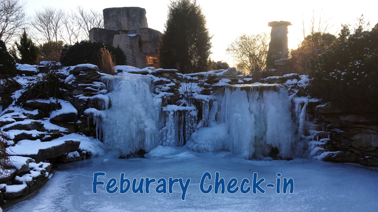 February Check In - YouTube