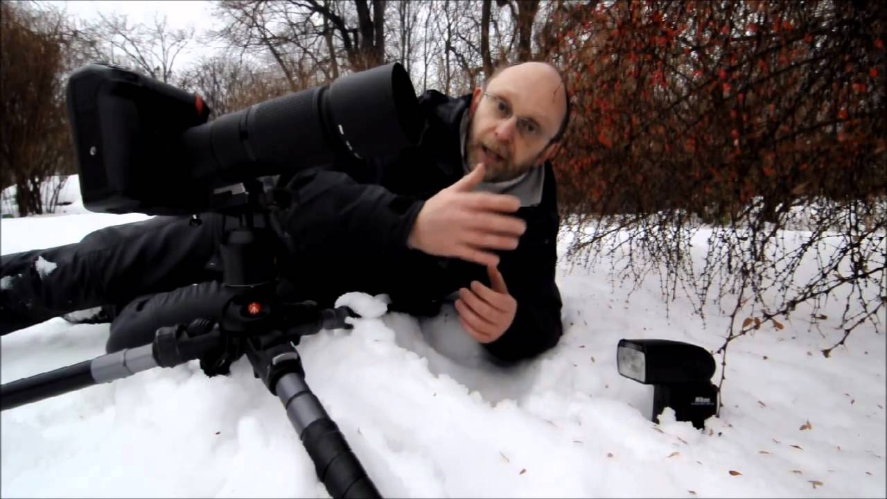 Nature Macro Photography - Video Lesson 2 with Alessandro Zocchi - YouTube