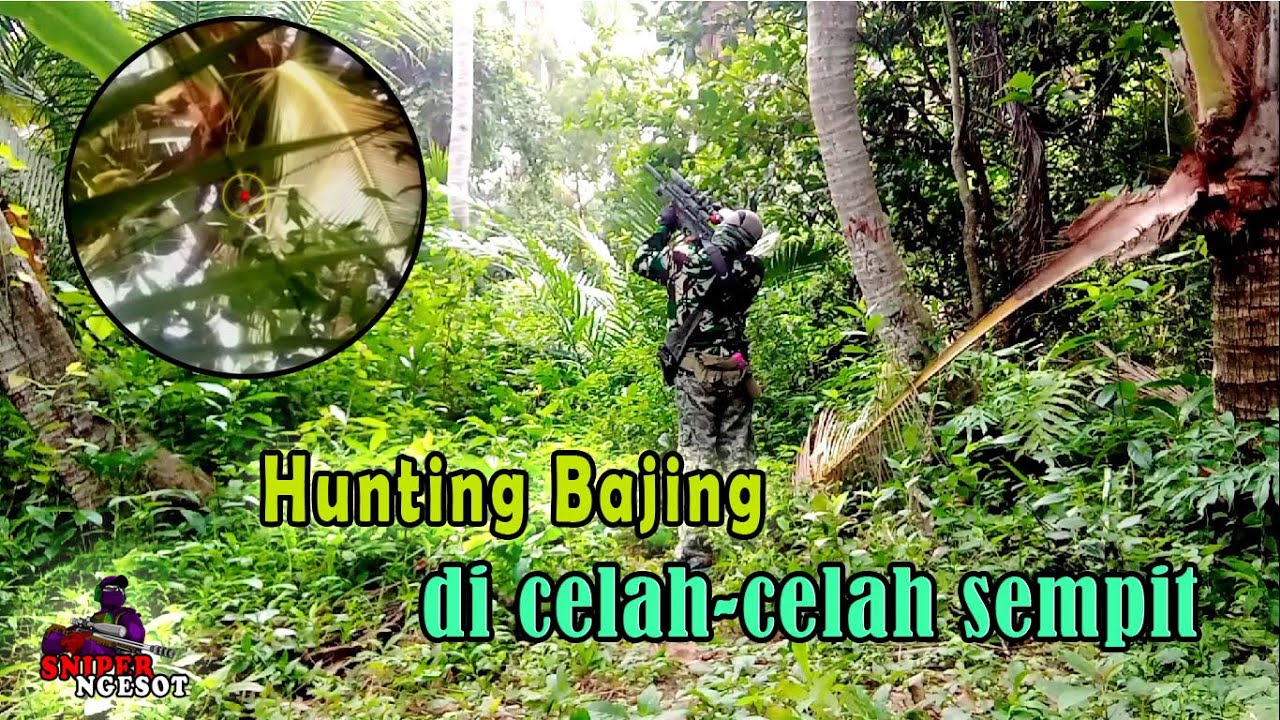 MASUK SEMAK BELUKAR PADANG BELANTARA - HUNTING SNIPER NGESOT [76] # ...