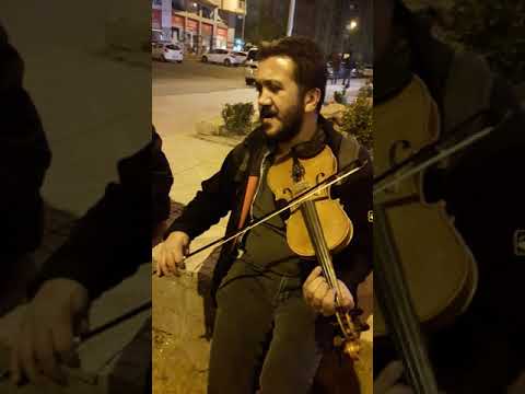 Ay Dilberé Keman